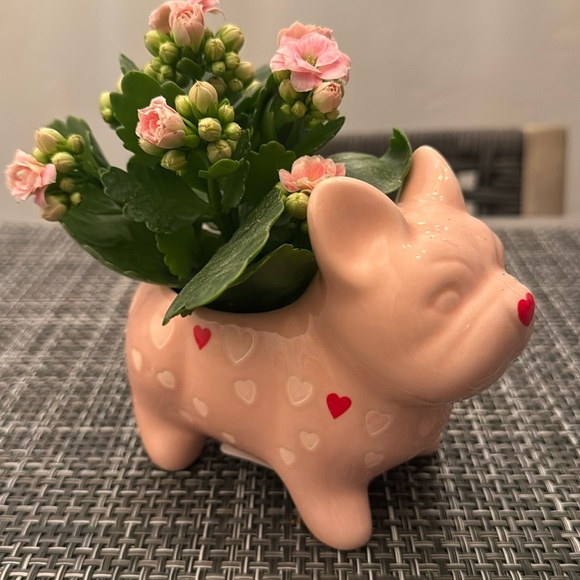 Target | Holiday | Copy Valentines Day Frenchie Dog Planter New 225 ...